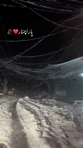 #پاراچنار🍁۔۔۔وطن۔۔جاررررررررررررررر @creator search insights