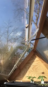 Watch Time lapse video on Amazon Live