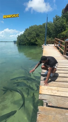 The Human Error Compilation 💅🤦‍♂️ | Adarshuc