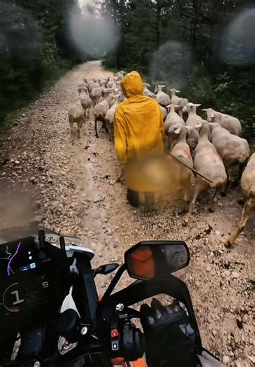 Riding a motorcycle 🤷🏻‍♂️#adventuremotorcycle #adventuretravel #ktmsuperadventure1290 #offroad #feelgood
