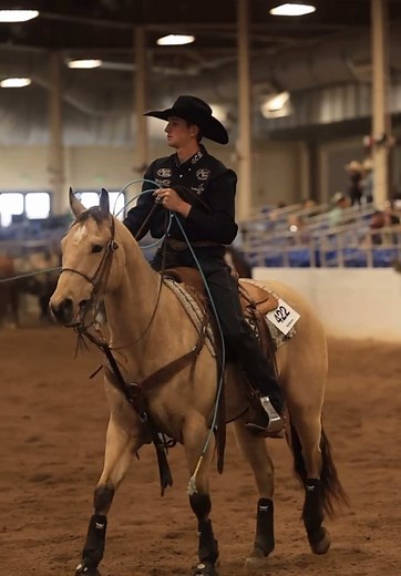 Pretty cool little glow up of Willy!! From September of 24 to last week at his FIRST HORSE SHOW!! We truly believe in building confidence and taking it slow. Pretty remarkable 4yr old.