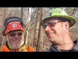 Timber Cutting class, I'm rusty!!!