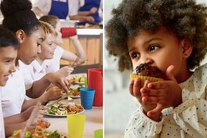 What's YOUR child's eating style? Scientists reveal the 4 types of eater ... and only 16% are 'fussy' - Netmums