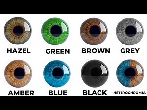 The Hidden Power Of Every Eye Color Explained