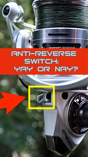 15K views · 643 reactions | Anti-Reverse Switch ➡️ Yay or Nay? A lot of anglers hate it or ignore it. But it could actually save a fish, especially if your drag suddenly locks up or your lure gets jammed at the rod tip. Watch the full video and explanation on our YouTube Channel! | Salt Strong | Facebook