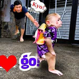 19K views · 461 reactions | Monkey Kyo got angry, grabbed a backpack, and left, what happened? | Family Monkey Vola | Facebook