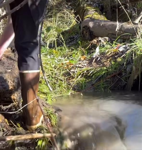Unclogging Culvert Clogged | John Cooke