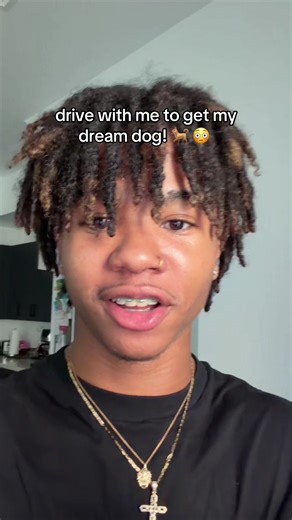 which one should i get 🐕? #c4pr1i | dog