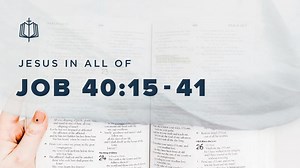 Job 40:15-41