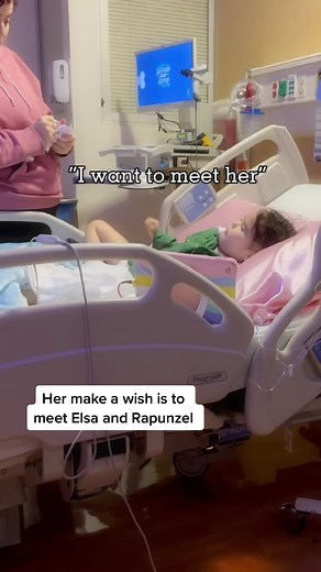 Princess Program Foundation on TikTok