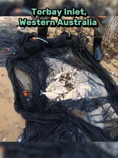 Exploring Bream Fishing in Torbay: A Seasonal Change