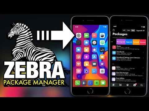 Zebra Package Manager Review & Guide iOS 13