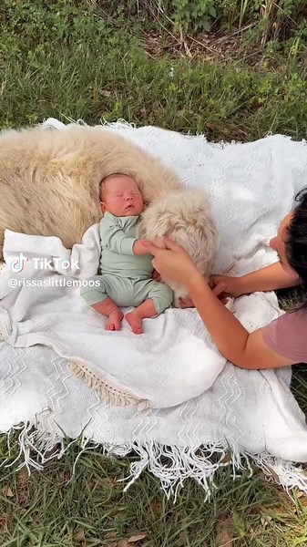 “What do you do for a living?” Well I play with babies & grass puppies all day 📸♥️🐮 #western #newborn #florida #photography #fyp