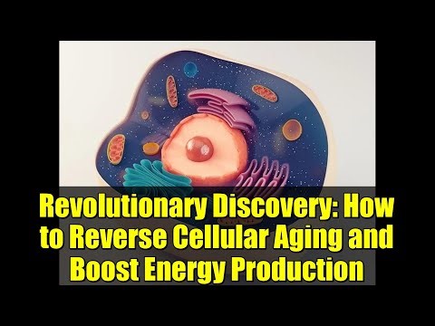 Revolutionary Discovery: How to Reverse Cellular Aging and Boost Energy Production