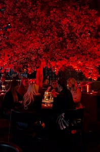 1.3K views · 22 reactions | DIM SUM DATE Handmade daily by our Dim Sum masters, where every roll and precise pleat is made with love and unwavering dedication. Enjoy 30% off food this January at Tattu, book now using the code TATTU30. https://tattu.co.uk/januarysale/ | Tattu | Facebook