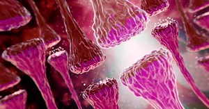 Animation of neuron cells