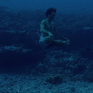 73K views · 757 reactions | Meet the amphibious man. Full Story, here: www.garage.com.au/the-art-of-holding-your-breath/ Nuit de la Glisse Films #DontCrackUnderPressure TAG Heuer | Garage Entertainment | Facebook