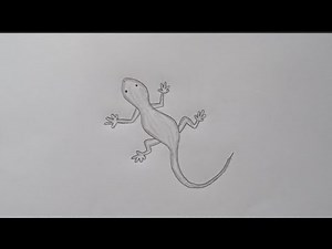 easy lizard drawing| how to draw lizard step by step