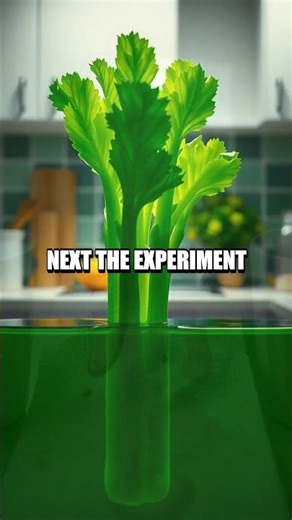 The Quiet Home Lab Diffusion Challenge