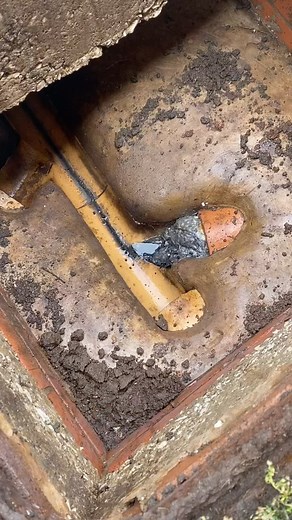 Turtle heading 🐢 | J&F Drainage