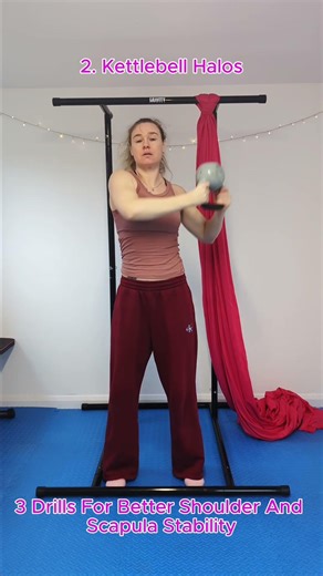 #aerialcoach #onlinecoach #aerialconditioning #aerialtraining #scapulastability
