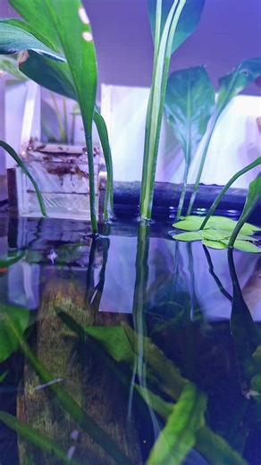 relaksasi simpel #relaksasi #mulaihariini