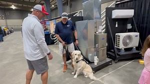 🐾 Support our veterans and their furry friends this November! Apollo is honored to stand behind K9s For Warriors, a mission that gives both veterans and service dogs a new beginning.❤️ For every furnace or A/C system sold, we'll donate $100 to this life-changing mission. 🐶🎖️Book your service today and help support our veterans! | Apollo Heating, Cooling, and Plumbing