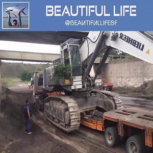 39K views · 356 reactions | the best viewed video part 20 | Beautiful Life | Facebook