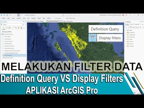 Filter Data In ArcGIS Pro | Display Data with Specific Category | Definition Query & Filters
