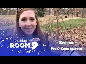 Scientists Observe | PreK - Kindergarten Science | Teaching In Room 9