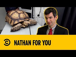 Talking To A Turtle | Nathan For You