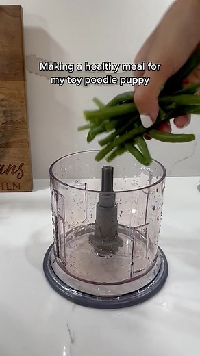 “Looking for a healthy meal idea for your dog? 🐶 Check out this simple and nutritious recipe that’s packed with wholesome ingredients your pup will love! 🥕🍗 Great for boosting energy and supporting their overall health. Try it out! #dogsofinstagram #purrfectlyadorablearmy #pets #petlovers #dog #animals #healthyfood #healthydog #mealprep #doglovers #foodfordogs | Purrfectly Adorable