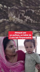 Attaqué par un python, un bébé de 2 ans fait l’impensable | Le Tribunal Du Net