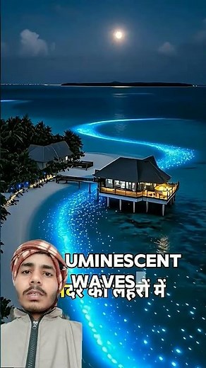 learn about:– Leatherback Sea Turtle size & migration– the massive 😮