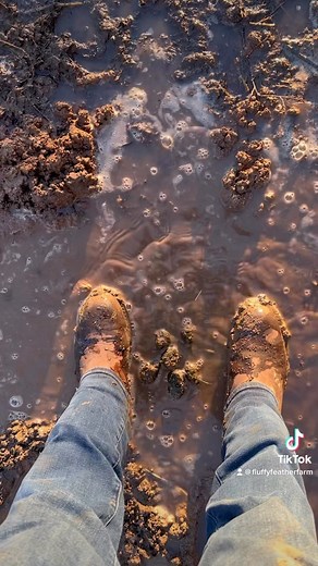 Mud! Everywhere! #fluffyfeatherfarm #mud #muddypuddles #fencepost | Fluffy Feather Farm