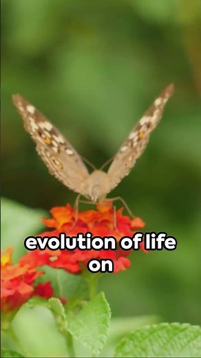 The Cosmic Calendar: Visualizing the Universe's History