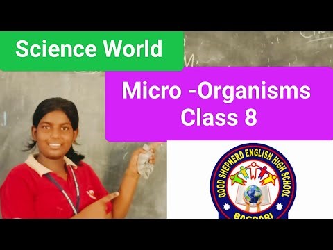 Micro -Organisms. Class 8. By, Abia👍