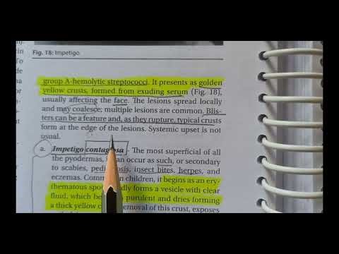 Practice of Medicine,Pyoderma Skin Infection