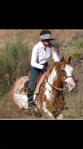 Happy and grateful! From riding Tatanka to Pilates to advanced laser cataract surgery. Some of my friends call me the bionic woman. I have gratitude! Happy to be alive’ God is great! #souldoctoringhealyourselfhealtheplanet #souldoctor #positivethinking #integrativemedicine #nde #coma #gutdoctor #nevergiveup #gutdoctor #robotickneereplacement #robotickneesurgery #pressurewound #osteomyelitis #grateful #ilovemyhorse | DrGayle Randall