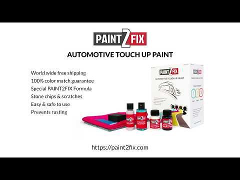 PAINT2FIX Automotive Touch Up Paint Kit
