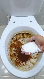 Pour this powder into the toilet and see what happens 💥 (super trick) 🤯 | Home Recipes