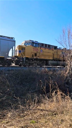 UP Eastbound Grain Train With 4 Mid DPU'S