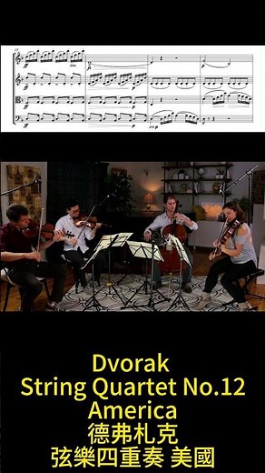 Dvorak String Quartet No.12 Op.96 America 德弗札克 弦樂 四重奏 美國 ドヴォルザーク アメリカ 【Kero】 #shorts