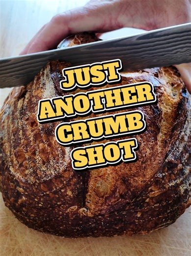 Crumb shot of my 72% hydration sourdough. Love the crust on this one, really well caramelised and crunchy. Due to a slightly different dough preparation and higher hydration, the crumb was a little more open, airy and light. Really happy with this bake. - Recipe: 390g flour 271g water 70g starter (100% hydrated) 9g salt - #bread #baker #sourdough #videos #tik_tok