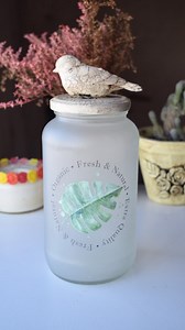 28K views · 772 reactions | De un simple frasco olvidado 龎 a un...