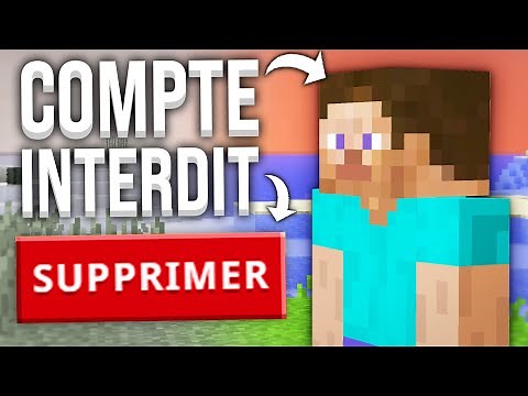 L'HISTOIRE DES COMPTES ILLÉGAUX DE MINECRAFT...