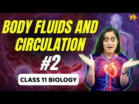 Body Fluids and Circulation Class 11 Biology Chapter 15 | NCERT Line by Line | Full Chapter