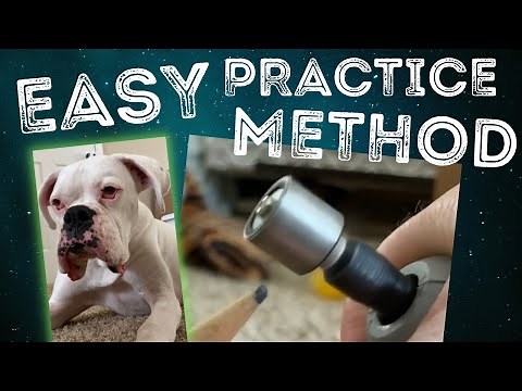 How To Dremel Dog's Nails (The Basics!)