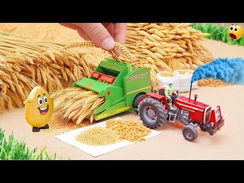 Top Most Creative Science Projects | Mini Tractor Is Threshing Wheat By Thresher Machine