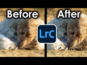 I Tested Lightroom Super Resolution, Is It Worth It?
